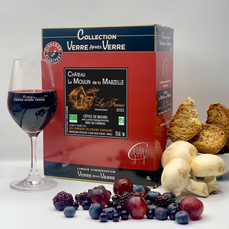 BIB - Côte de Bourg - Vin rouge en Bag in Box Les Fresnes du Moulin de ...